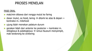 FISIOLOGI FARING, LARING, DAN ESOFAGUS.pptx