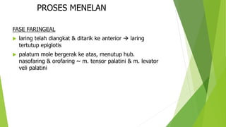 FISIOLOGI FARING, LARING, DAN ESOFAGUS.pptx