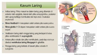 Fisiologi Fonasi dan Saluran Napas Atas.pptx