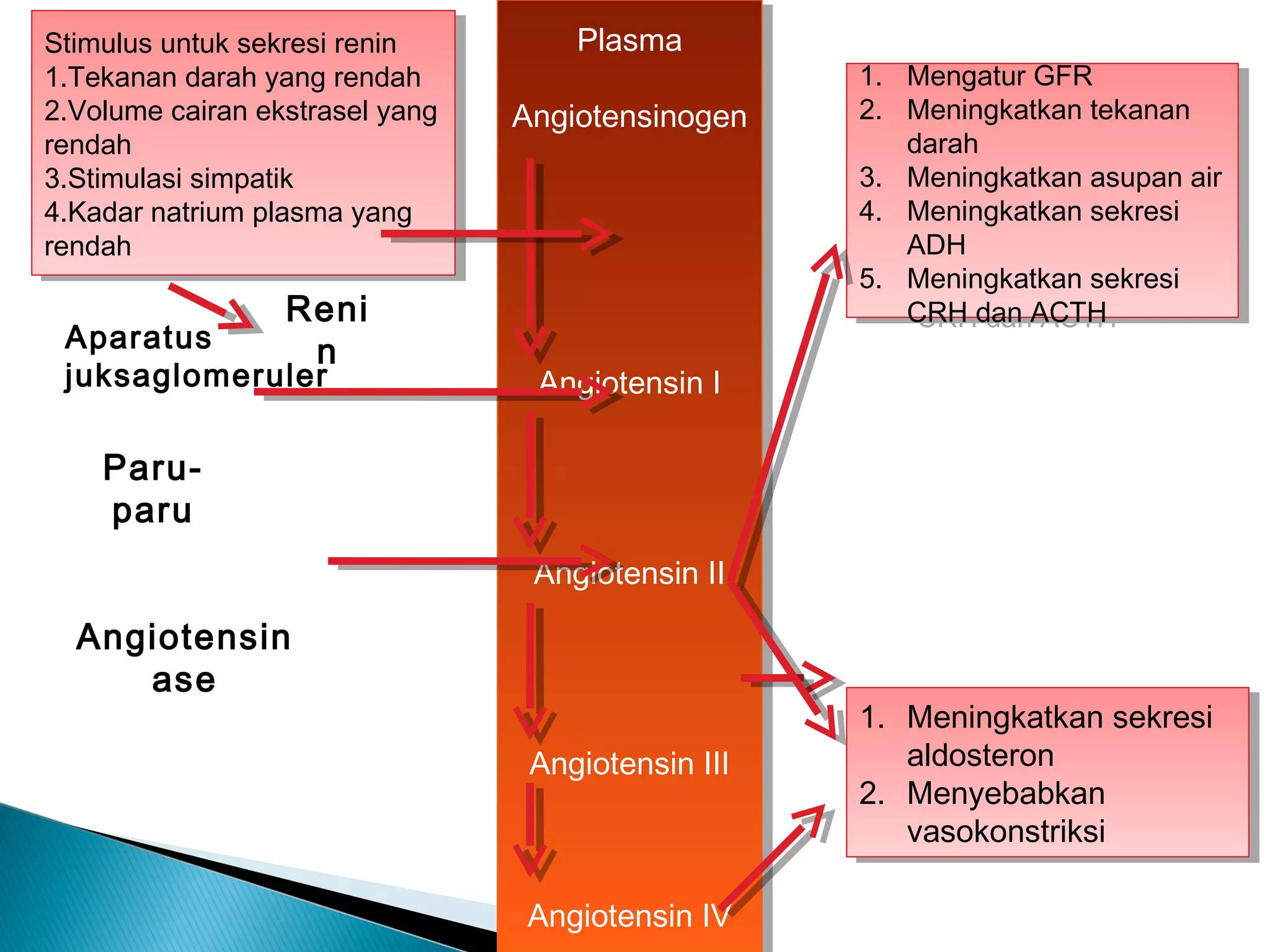 Fisiologi ginjal | PPT