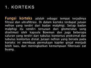 Fisiologi ginjal | PPTX