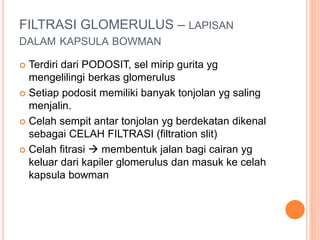 fisiologi ginjal.ppt