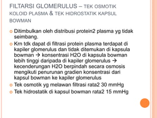 fisiologi ginjal.ppt