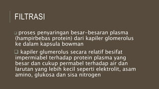 FISIOLOGI GINJAL manusia.pptx fisiologi ginjal | PPT
