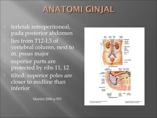 Fisiologi ginjal | PPT