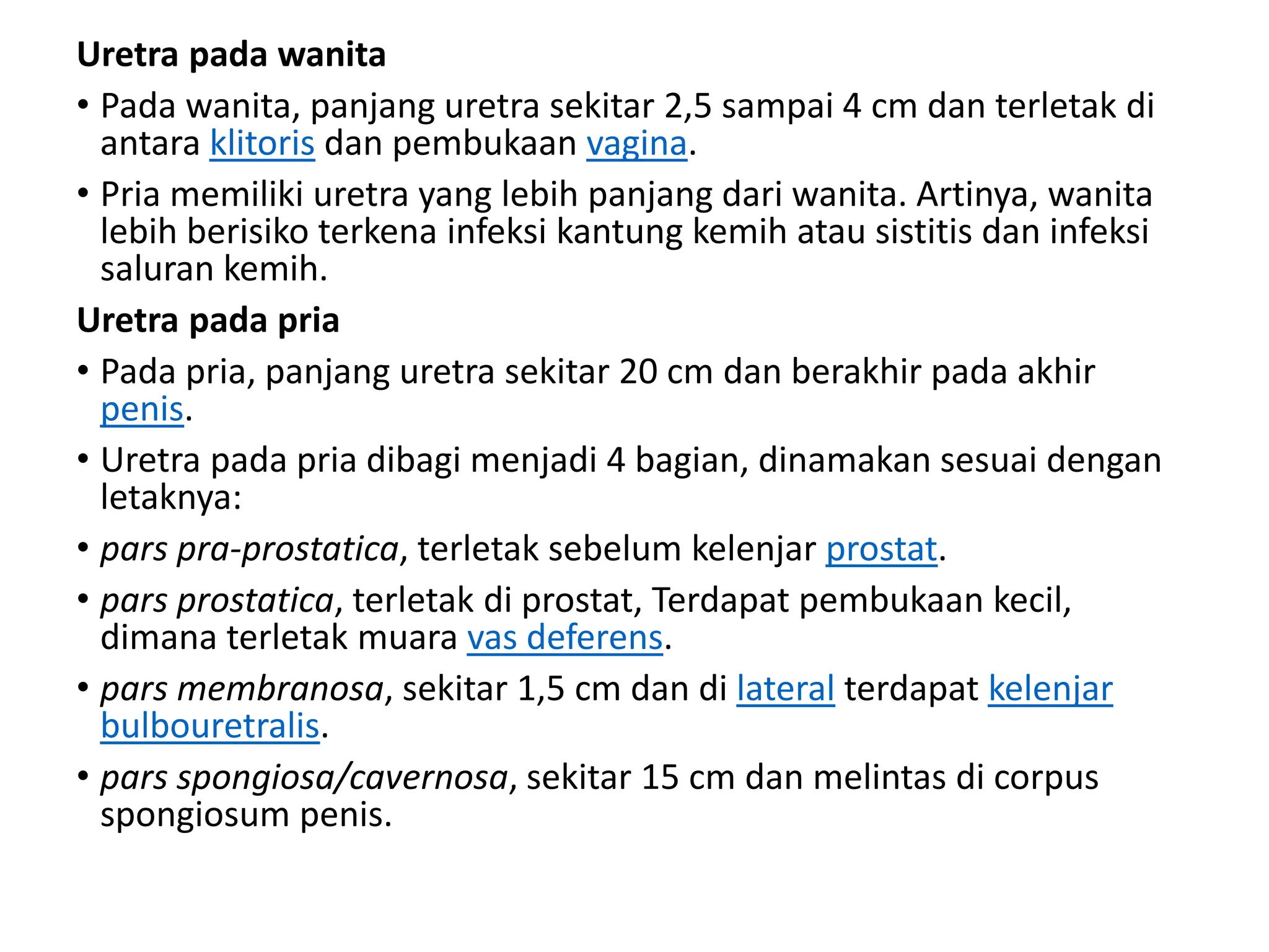 FISIOLOGI_GINJALpptx.pptx