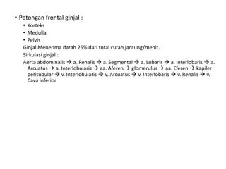 FISIOLOGI_GINJALpptx.pptx