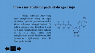 Fisiologi Olahraga Tinju | PPTX