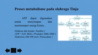 Fisiologi Olahraga Tinju | PPTX