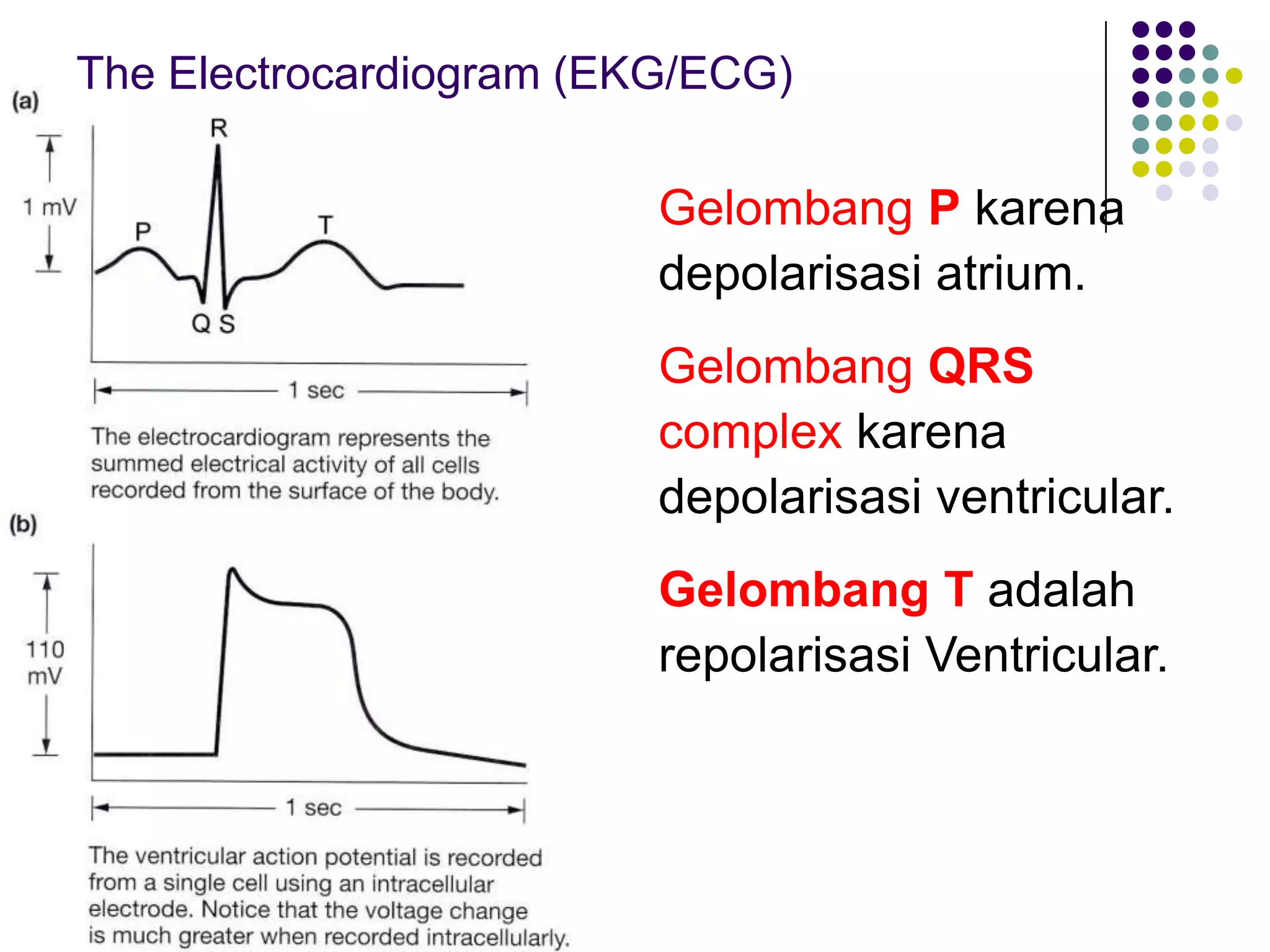 Fisiologi jantung | PPTX