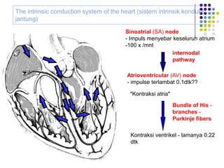 Fisiologi jantung | PPTX