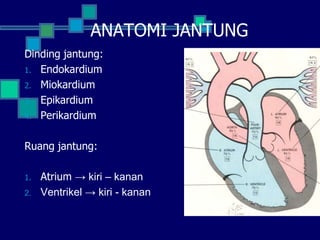 Fisiologi jantung2 | PPTX