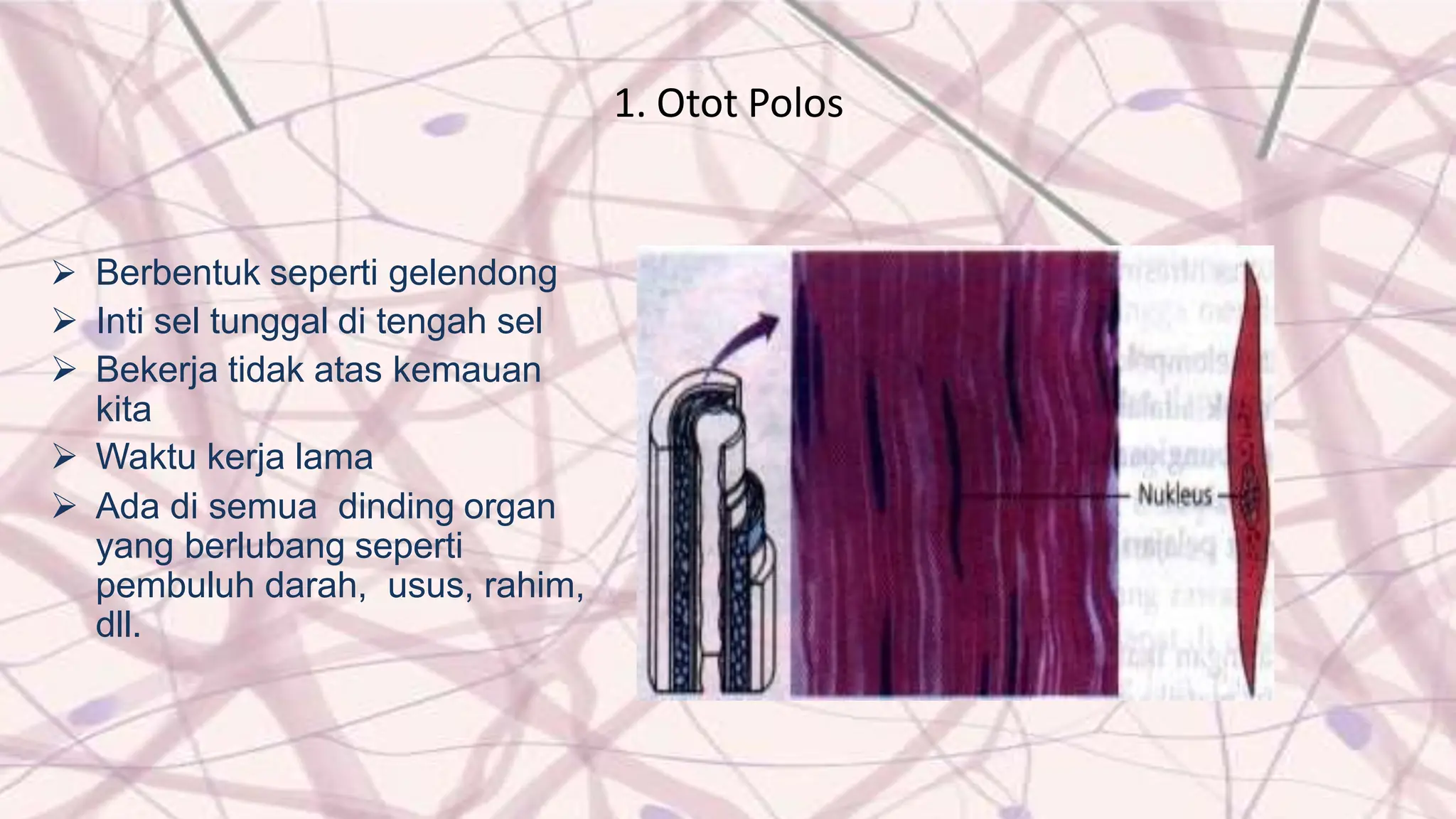 Fisiologi Jaringan Tubuh Manusia-Modul 5.pptx