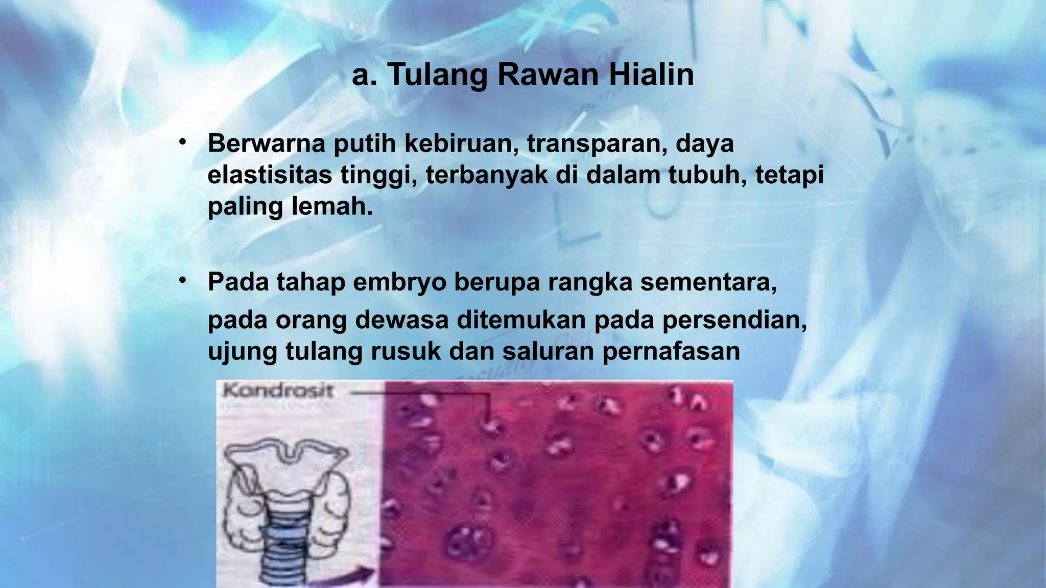 Fisiologi Jaringan Tubuh Manusia-Modul 5.pptx