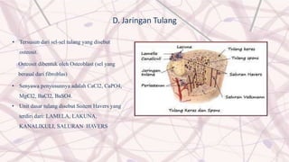 Fisiologi Jaringan Tubuh Manusia-Modul 5.pptx