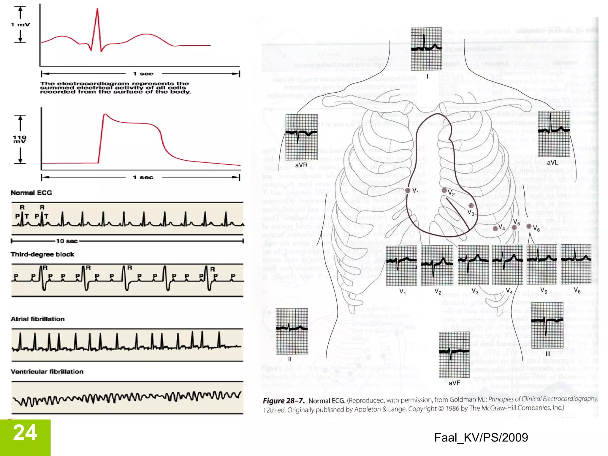 Fisiologi kardiovaskular (Jantung) | PPT