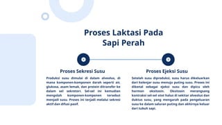 @12Fisiologi laktasi pada sapi perah.pptx