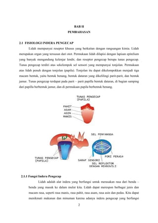 Fisiologi lidah | DOC