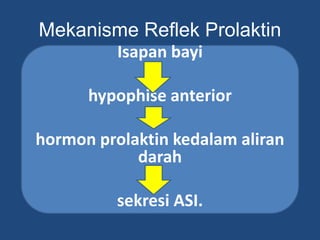 FISIOLOGI MENYUSUI.pptx
