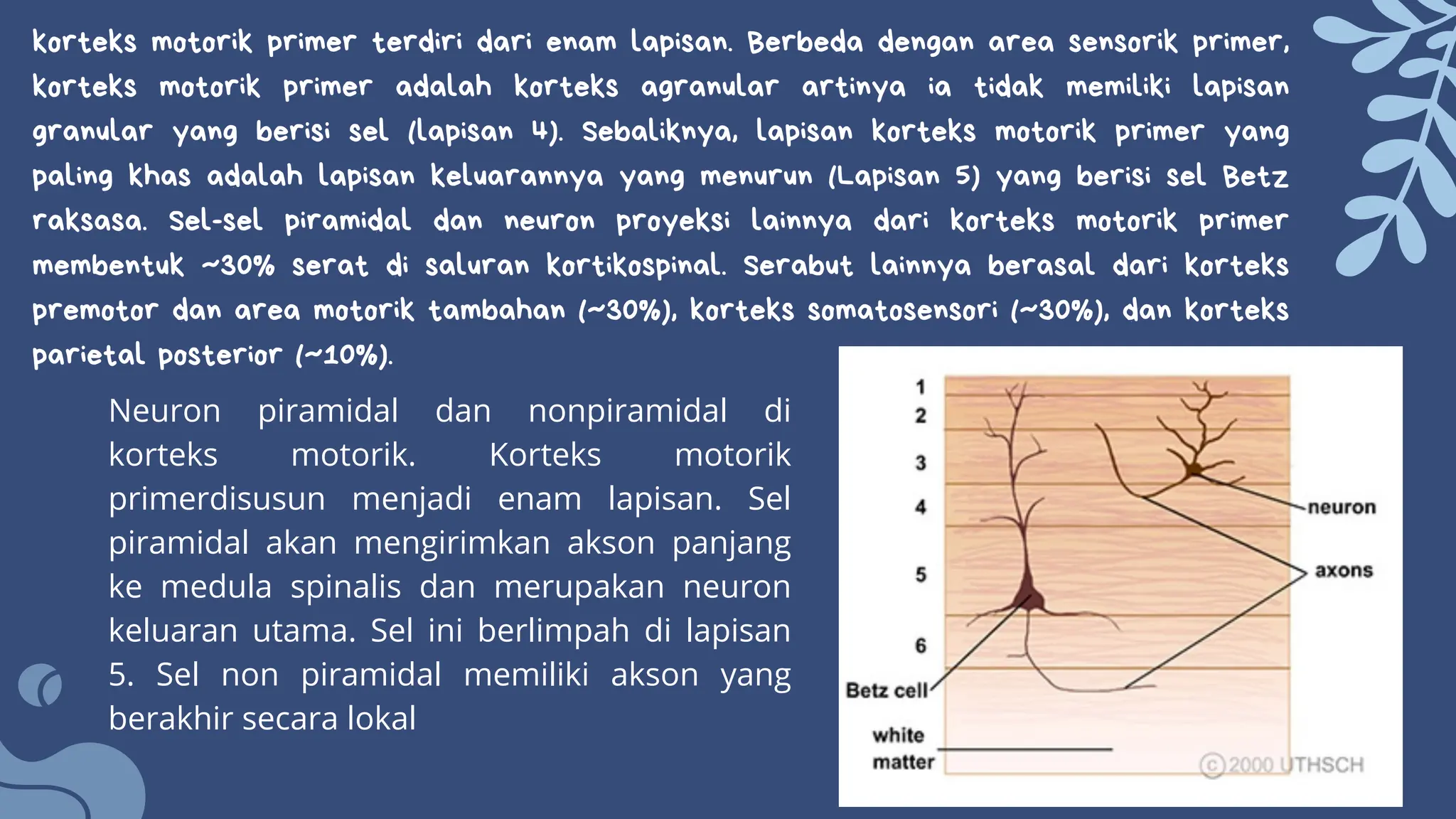 Fisiologi motorik (piramidal dan ekstrapiramidal) | PDF