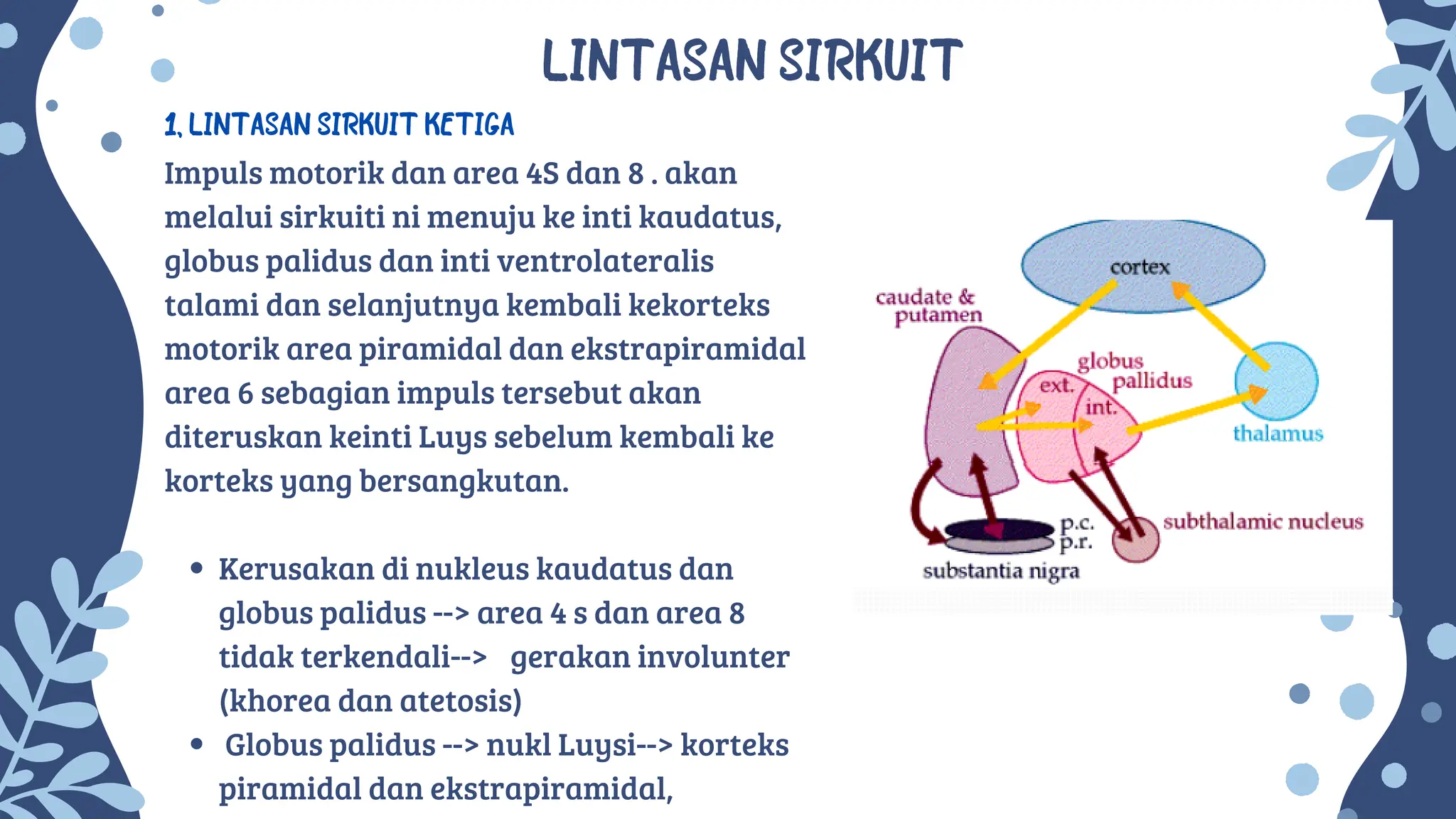 Fisiologi motorik (piramidal dan ekstrapiramidal) | PDF