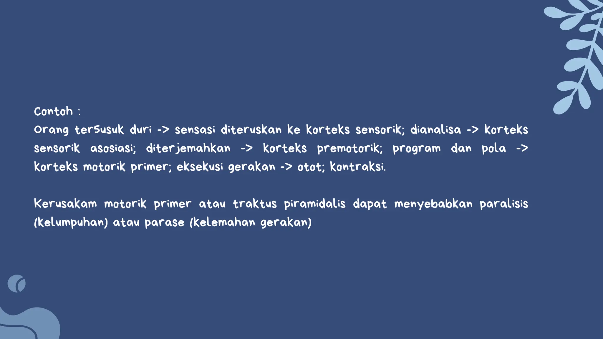 Fisiologi motorik (piramidal dan ekstrapiramidal) | PDF