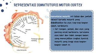 Fisiologi motorik (piramidal dan ekstrapiramidal) | PDF