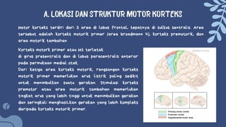 Fisiologi motorik (piramidal dan ekstrapiramidal) | PDF