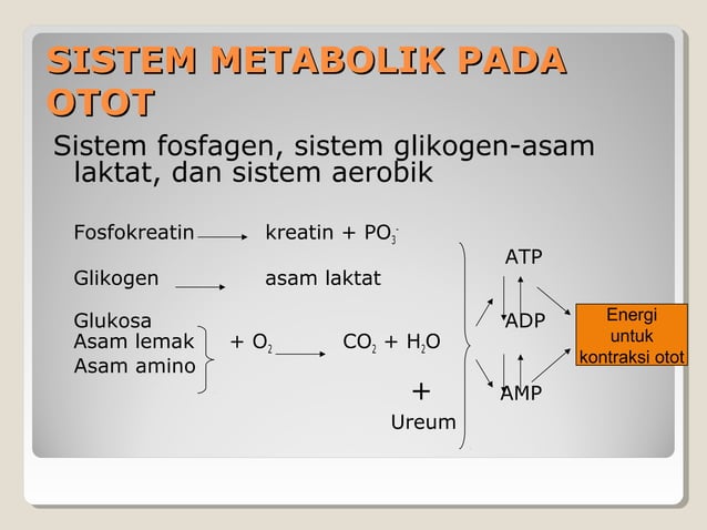 Fisiologi olahraga dn | PPT