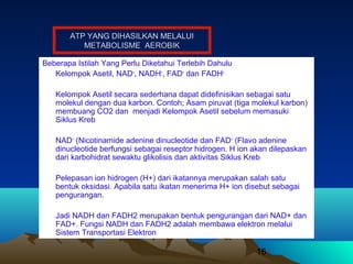 EXERCISE PHYSIOLOGY | PPT