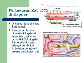 FISIOLOGIPEMBULUHDARAH.ppt FISIOLOGIPEMBULUHDARAH.ppt