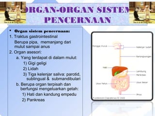 Fisiologi pencernaan | PPT