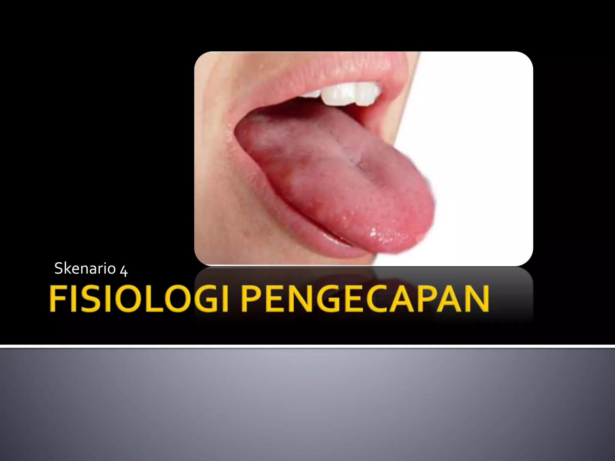 Fisiologi pengecapan | PPTX