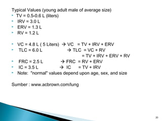 Fisiologi Pernafasan | PPT