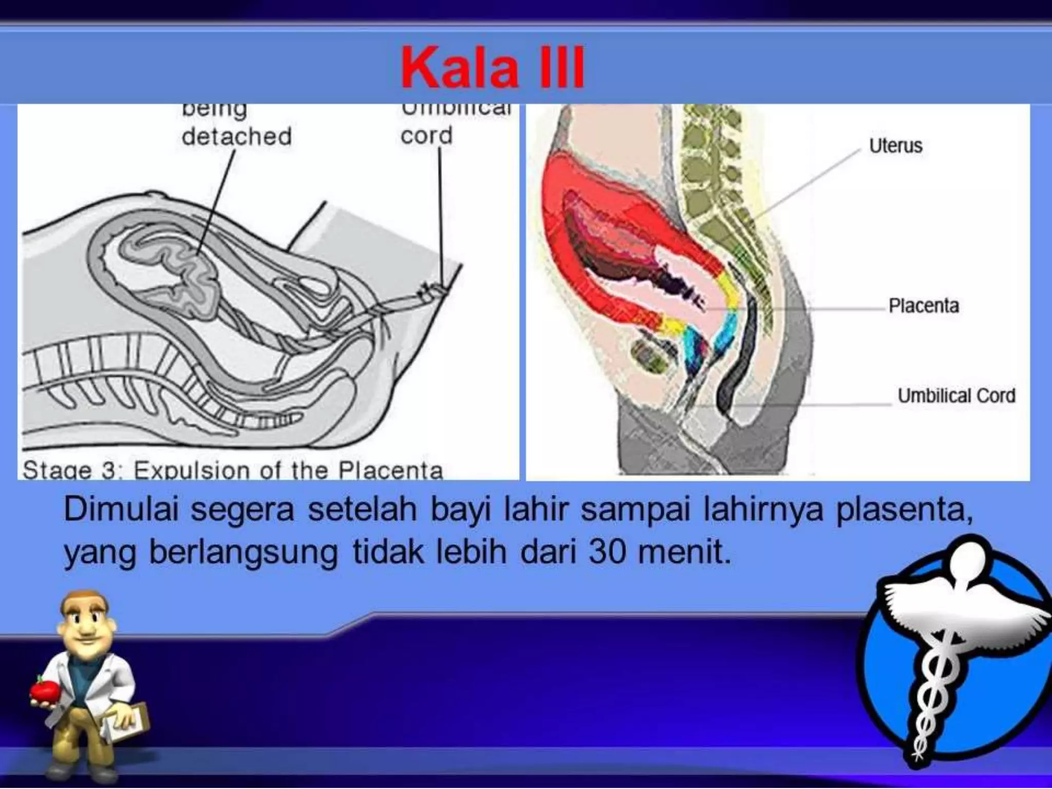 FISIOLOGI PERSALINAN.pptx