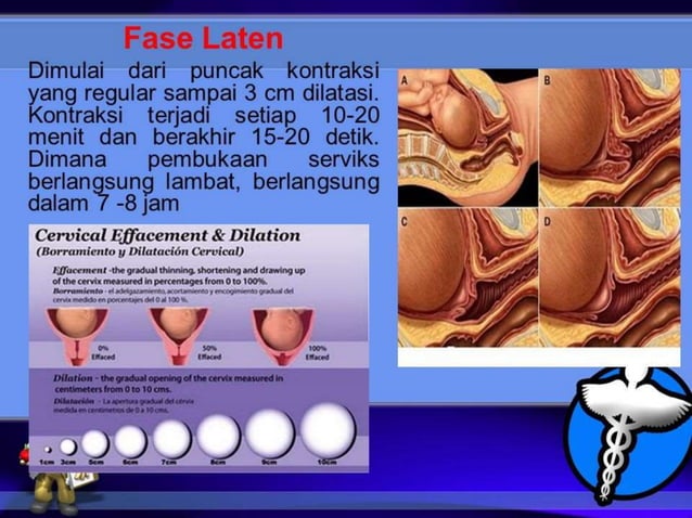 FISIOLOGI PERSALINAN.pptx