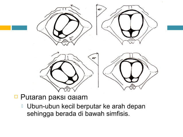 Fisiologi persalinan (9) | PPT