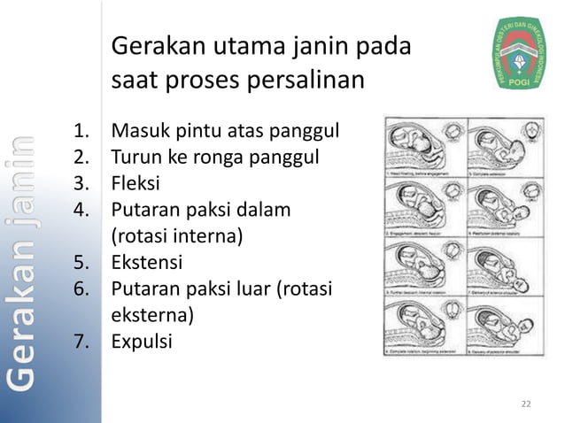 Fisiologi persalinan dan nifas normal | PPT