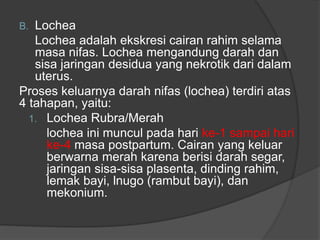 FISIOLOGI PNC.pptx.............. .................. | PPT