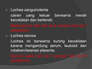 FISIOLOGI PNC.pptx.............. .................. | PPT