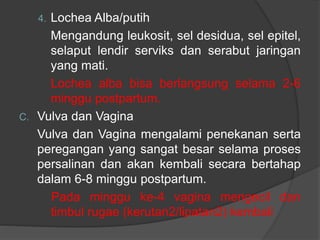 FISIOLOGI PNC.pptx.............. .................. | PPT