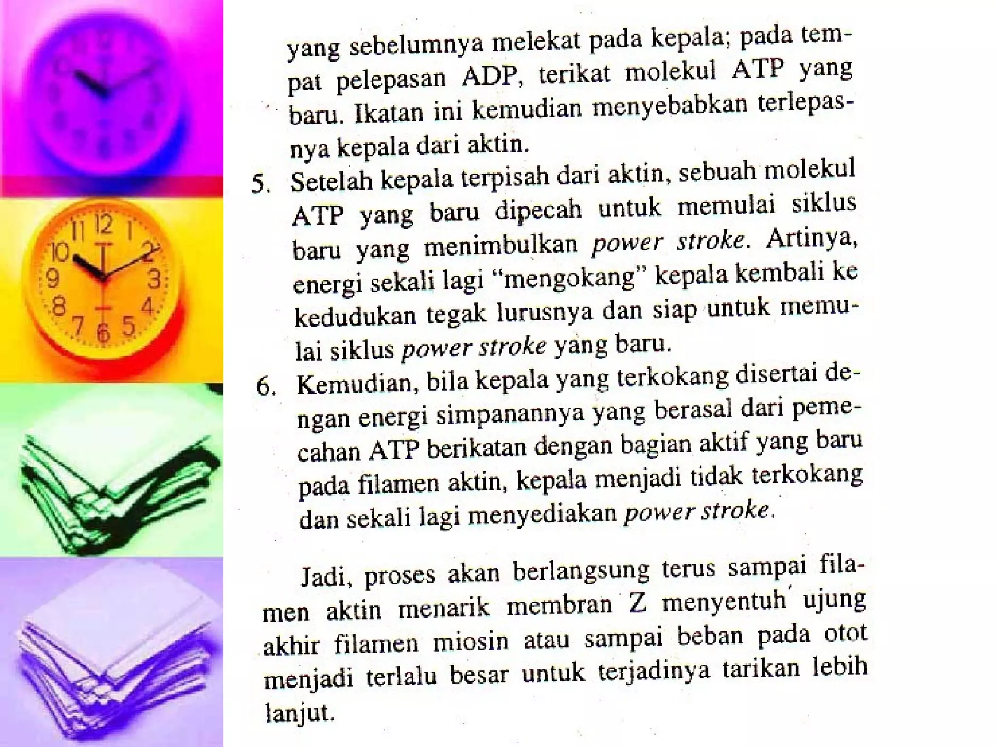 Fisiologi refleks, gerak dan postur tubuh | PPT