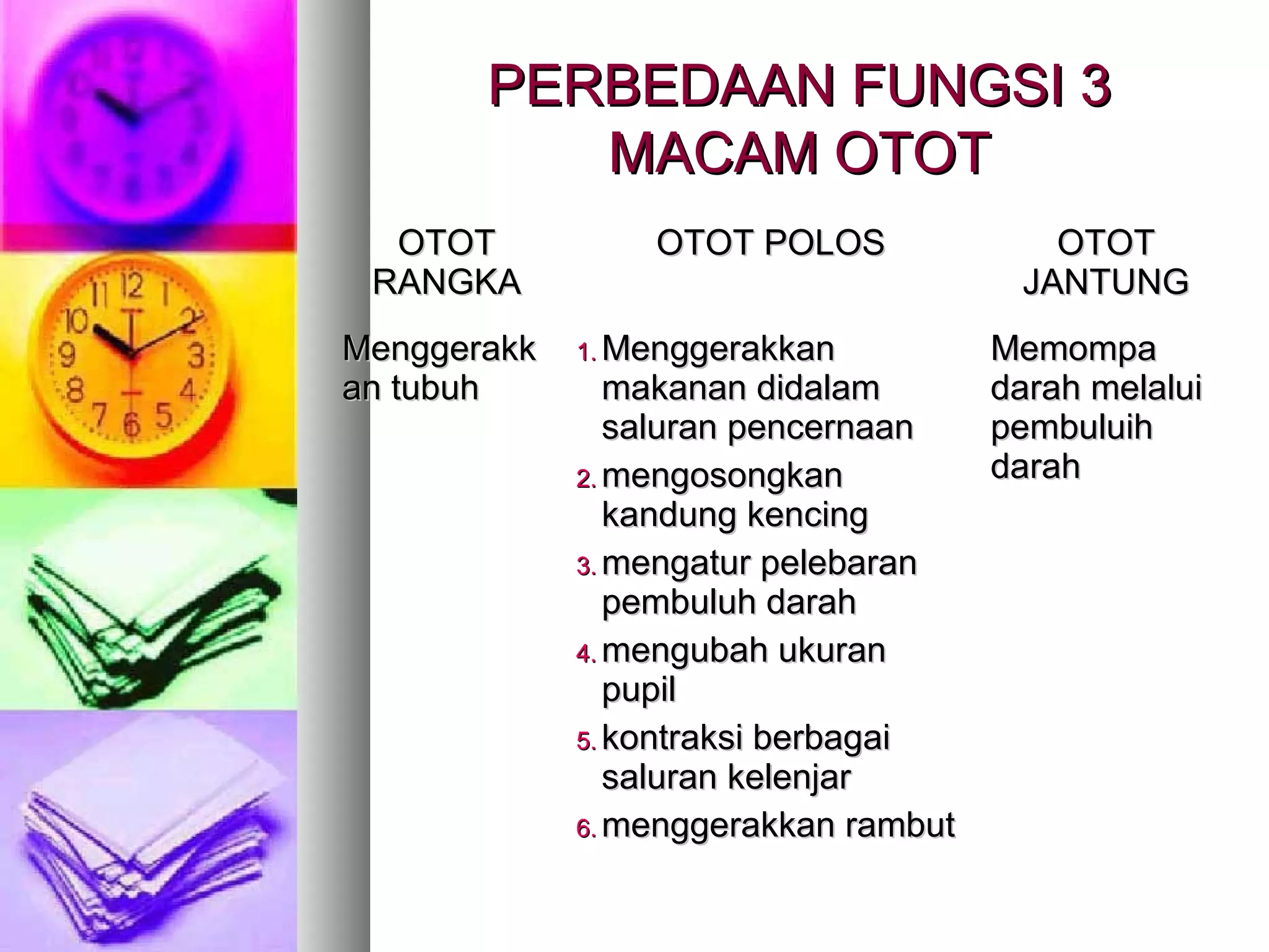 Fisiologi refleks, gerak dan postur tubuh | PPT