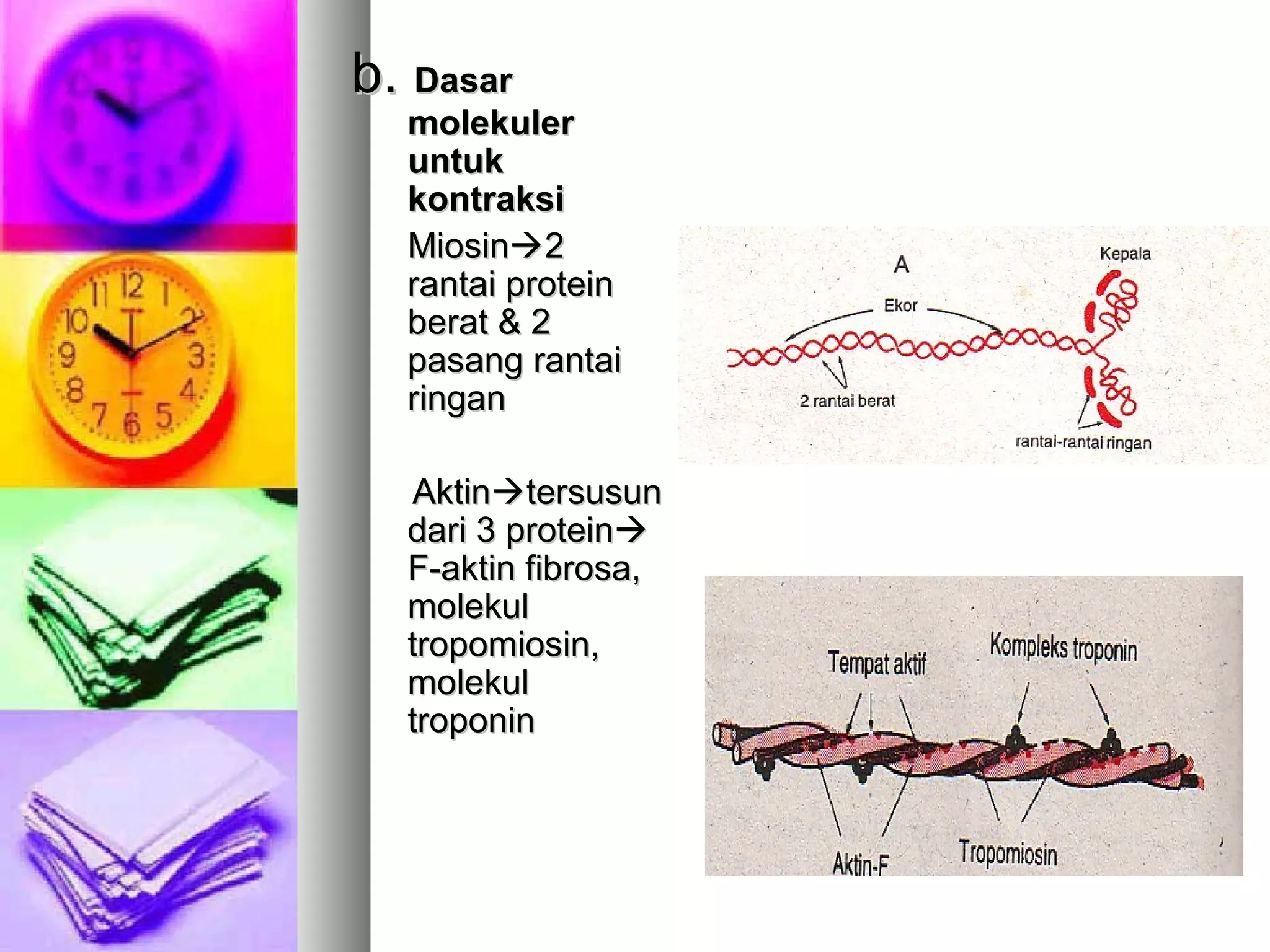 Fisiologi refleks, gerak dan postur tubuh | PPT