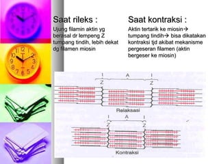 Fisiologi refleks, gerak dan postur tubuh | PPT