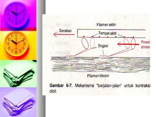 Fisiologi refleks, gerak dan postur tubuh | PPT