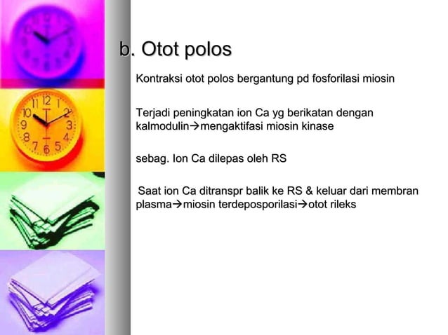 Fisiologi refleks, gerak dan postur tubuh | PPT