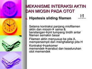 Fisiologi refleks, gerak dan postur tubuh | PPT