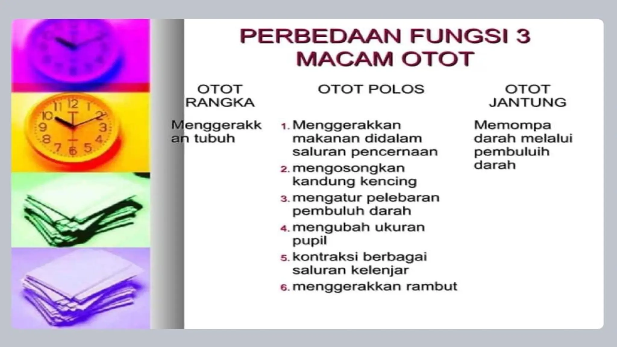 FISIOLOGI REFLEKS, GERAK DAN POSTUR TUBUH.pptx