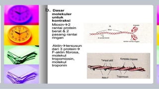 FISIOLOGI REFLEKS, GERAK DAN POSTUR TUBUH.pptx